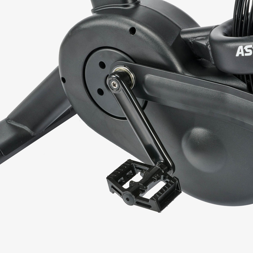 AssaultBike Pro X